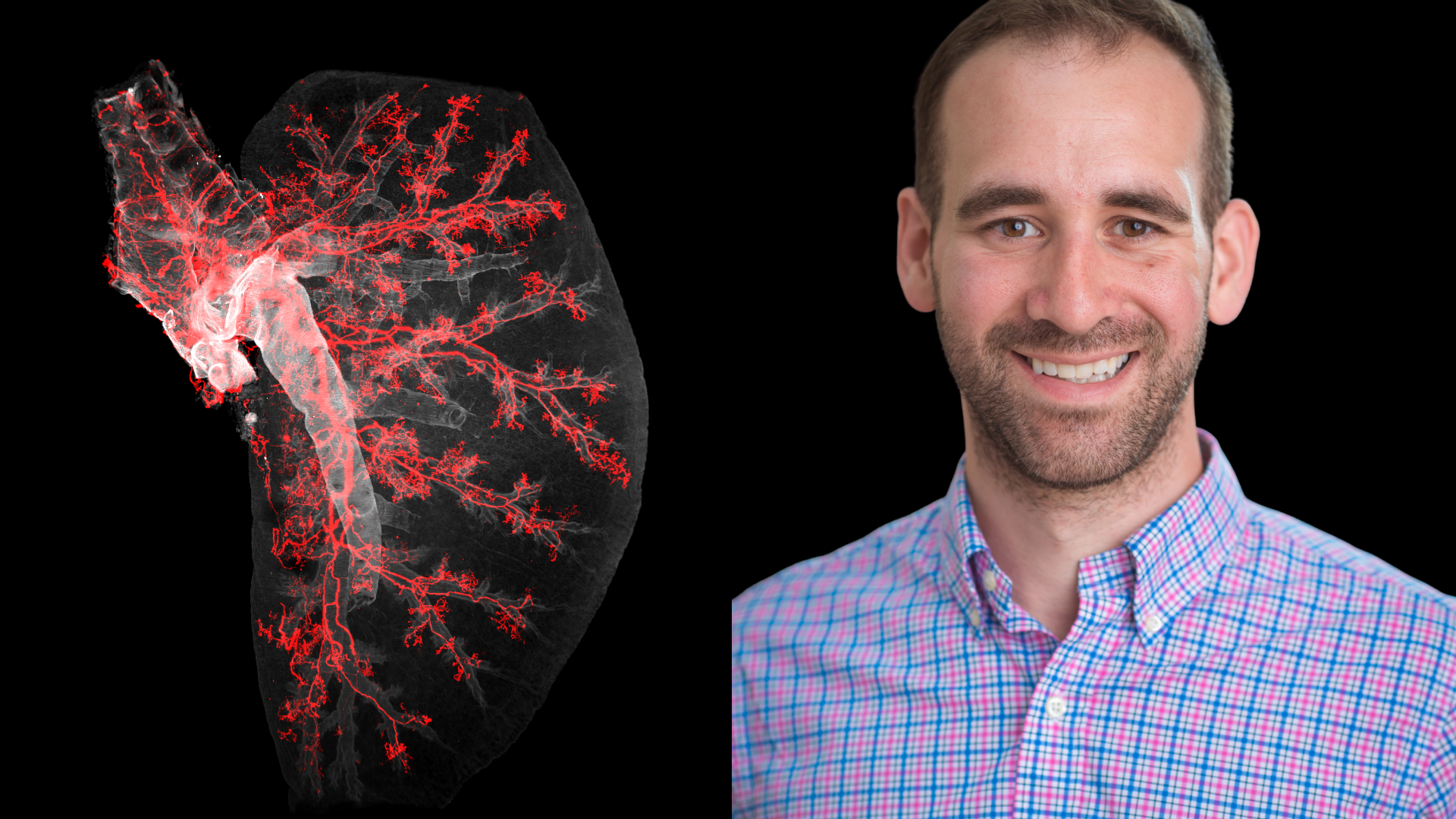 Meet Michael Schappe, new assistant professor of molecular and integrative physiology | School ...